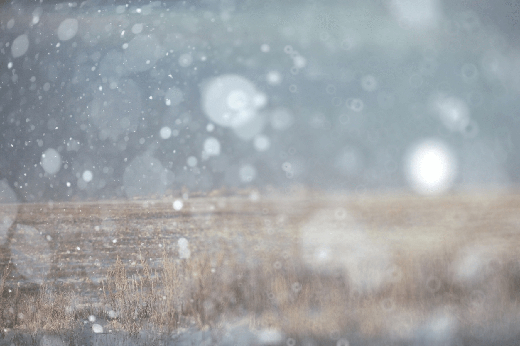 Surviving the Danish Winter: What to Do When You Are SAD - Last Week in ...